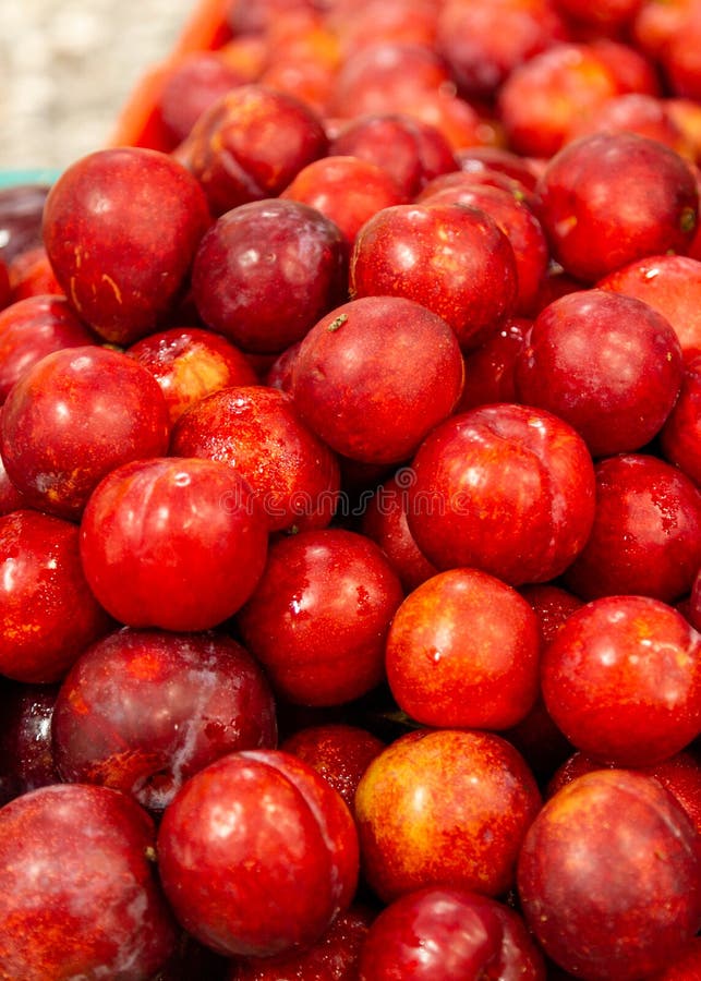 Fresh red plums stock image. Image of plum, healthy - 155215585