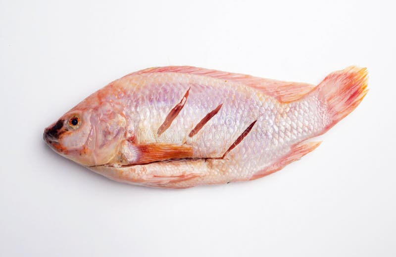 Fresh Red Pomegranate Fish on a White Background Stock Image - Image of ...