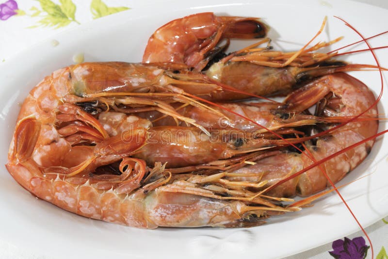 Fresh red prawns stock image. Image of tiger, healthy - 58509355