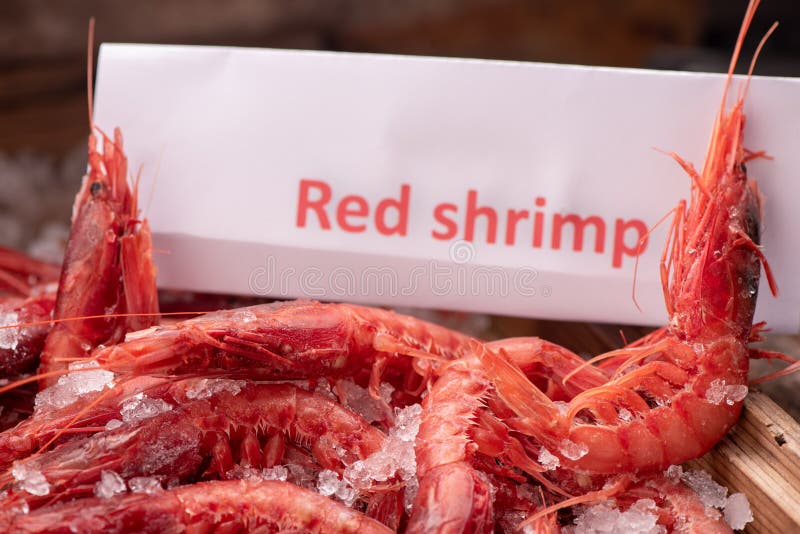 Fresh Red Prawns Ready To Cook with Ice Stock Photo - Image of mazara ...