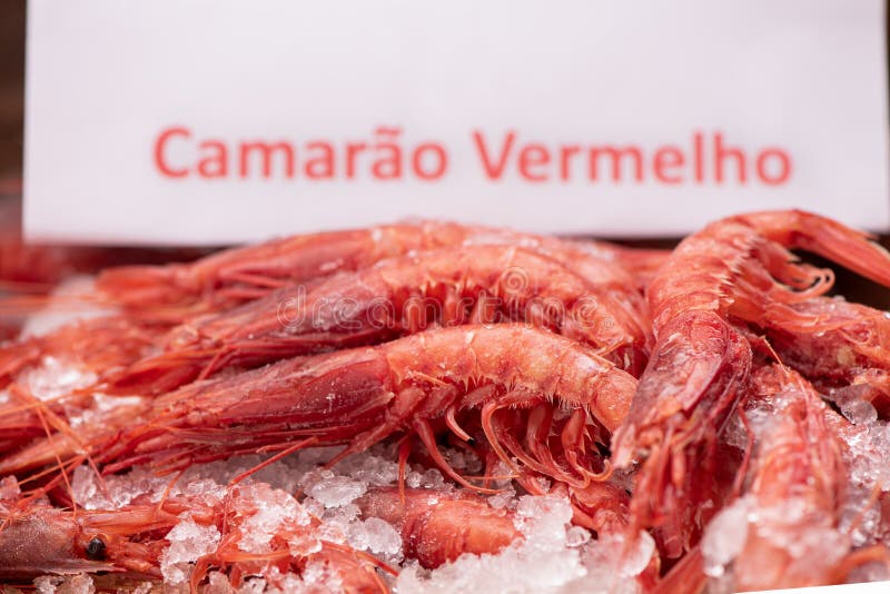 Fresh Red Prawns Ready To Cook Stock Photo - Image of macro, healthy ...