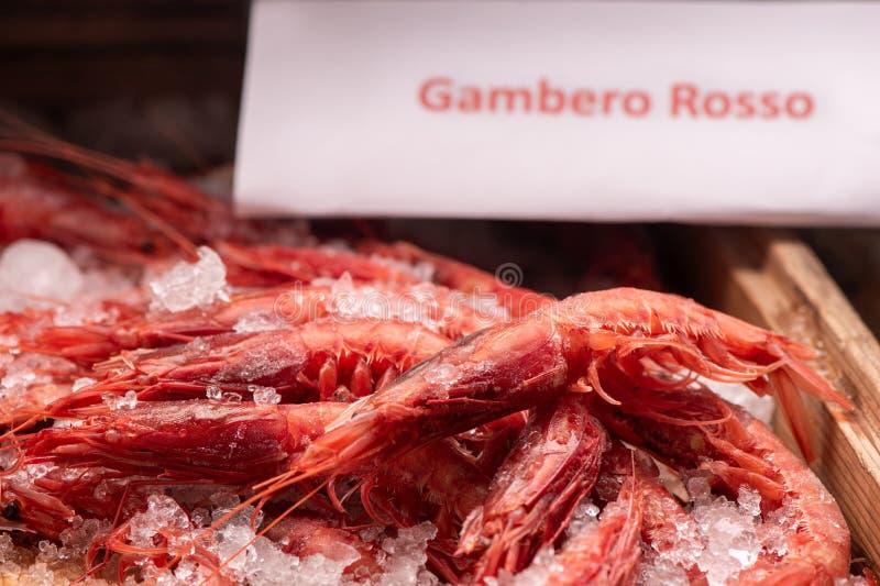 Fresh Red Prawns Ready To Cook Stock Image - Image of delicious, ready ...