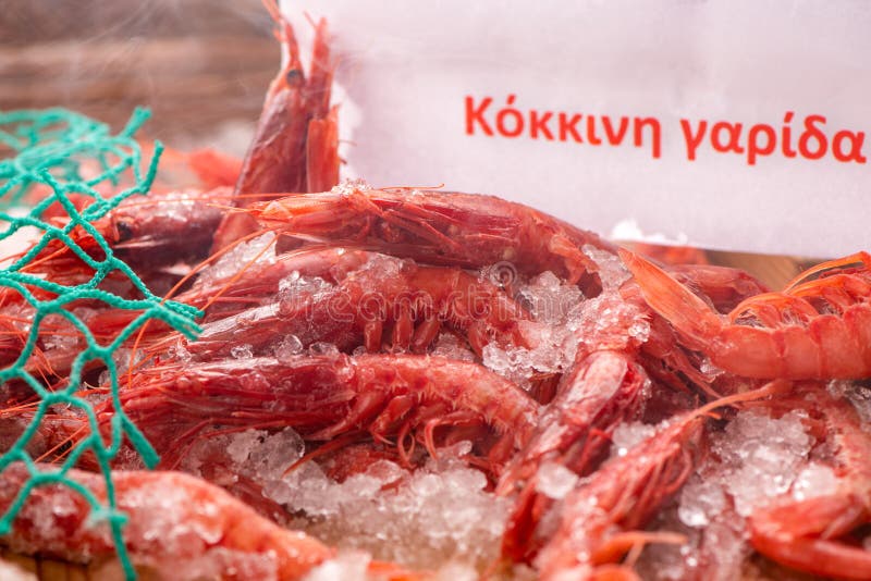 Fresh Red Prawns Ready To Cook Stock Photo - Image of shellfish, nature ...