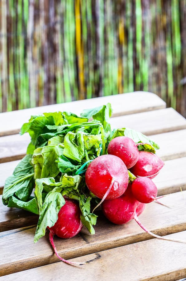 Fresh red raddish stock image. Image of ingredient, food - 79294425