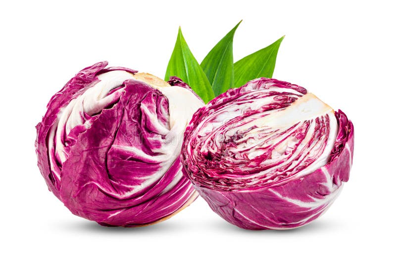 Radicchio heads stock image. Image of fresh, edible, food - 19410155