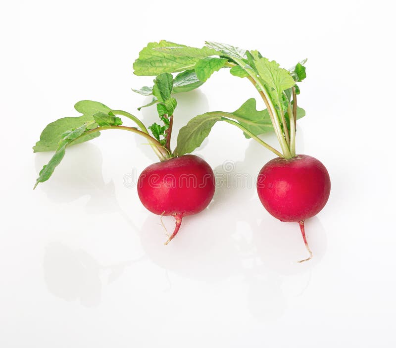 Fresh Radish with Fresh Green Leaves Isolated on a White Background ...