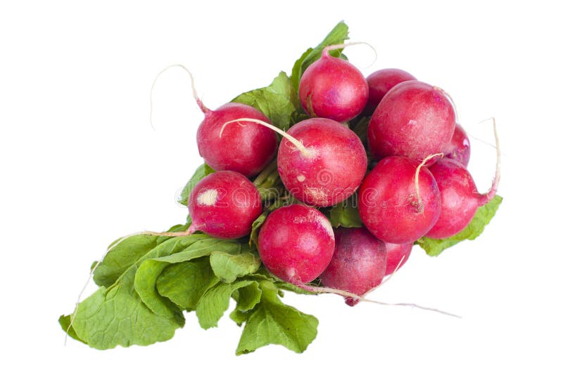 Fresh red radish isolated stock image. Image of radish - 341321473