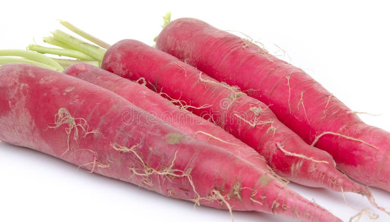 Fresh red radish stock image. Image of long, bulb, plant - 43063505