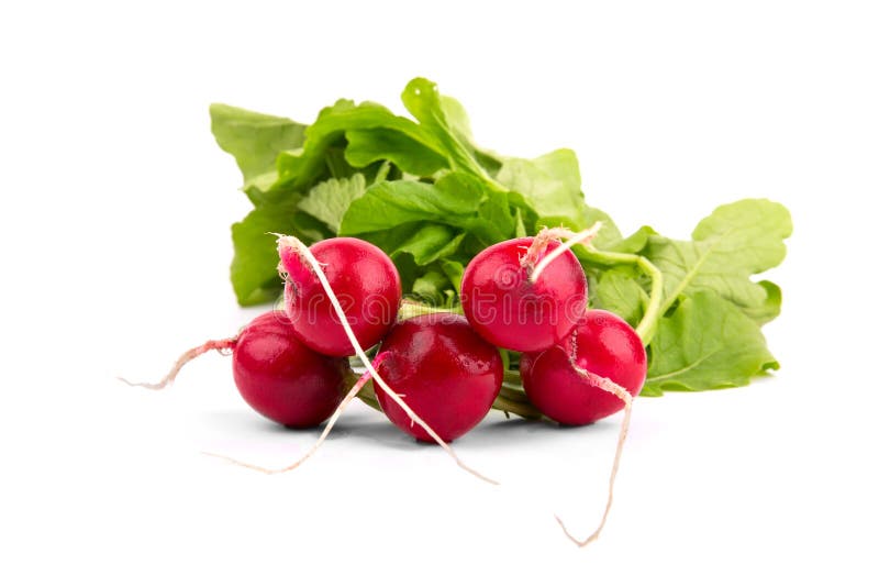Fresh Red Radish Isolated on White Background Stock Photo - Image of ...