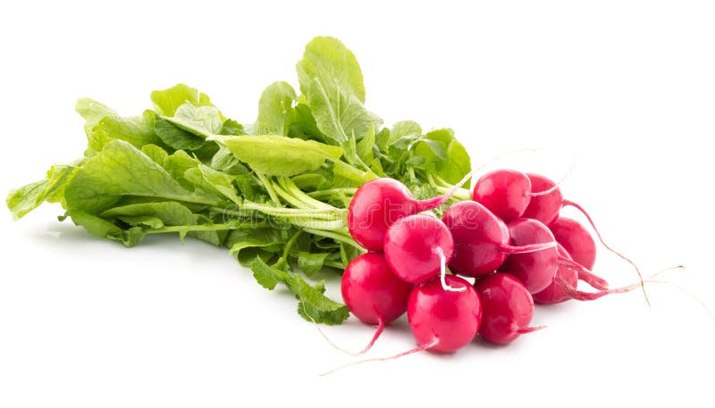 Fresh Red Radish with Leaves Isolated Stock Photo - Image of leaves ...