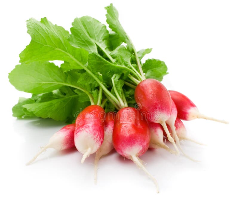 Fresh Red Radish Vegetables with Green Leaves Stock Photo - Image of ...