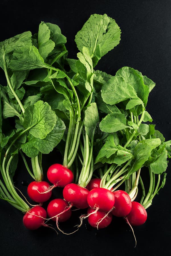 Fresh red radishes stock photo. Image of wood, organic - 39700292