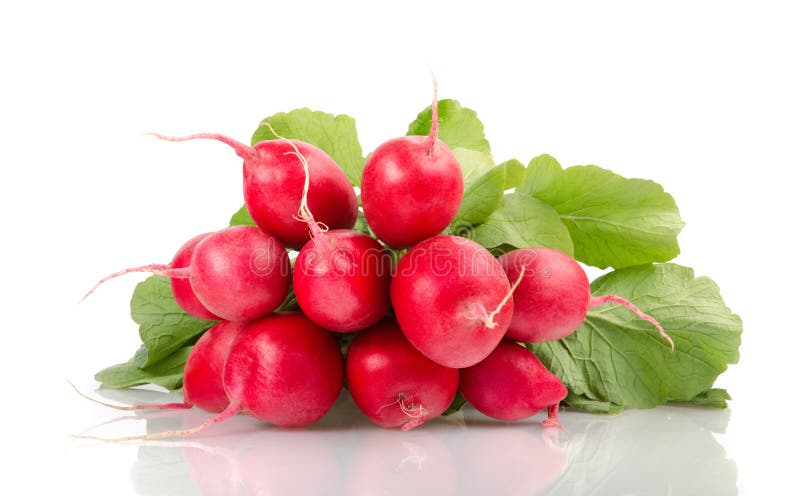 Fresh Red Radishes with Green Leaves Stock Image - Image of garnish ...