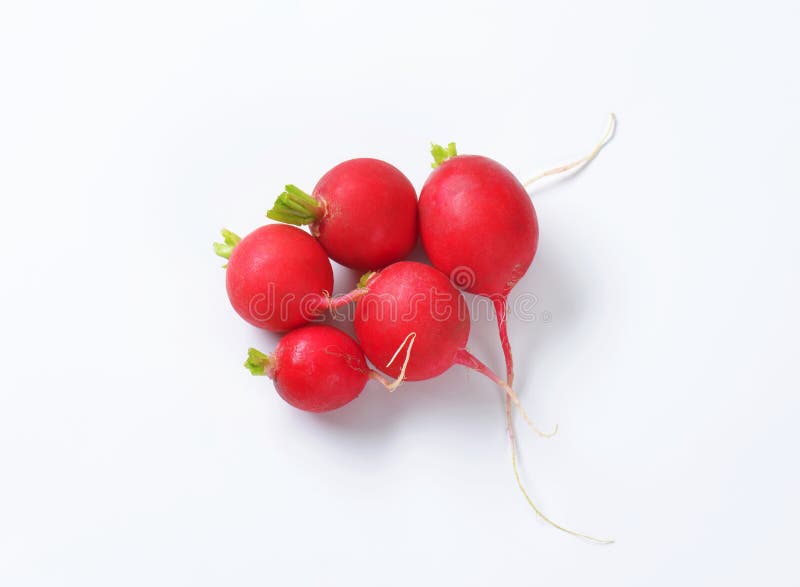 Fresh red radishes stock photo. Image of radishes, radish - 56647066