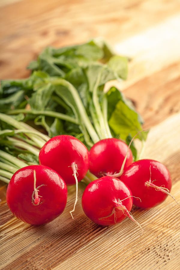 Fresh red radishes stock photo. Image of plant, ripe - 39700276