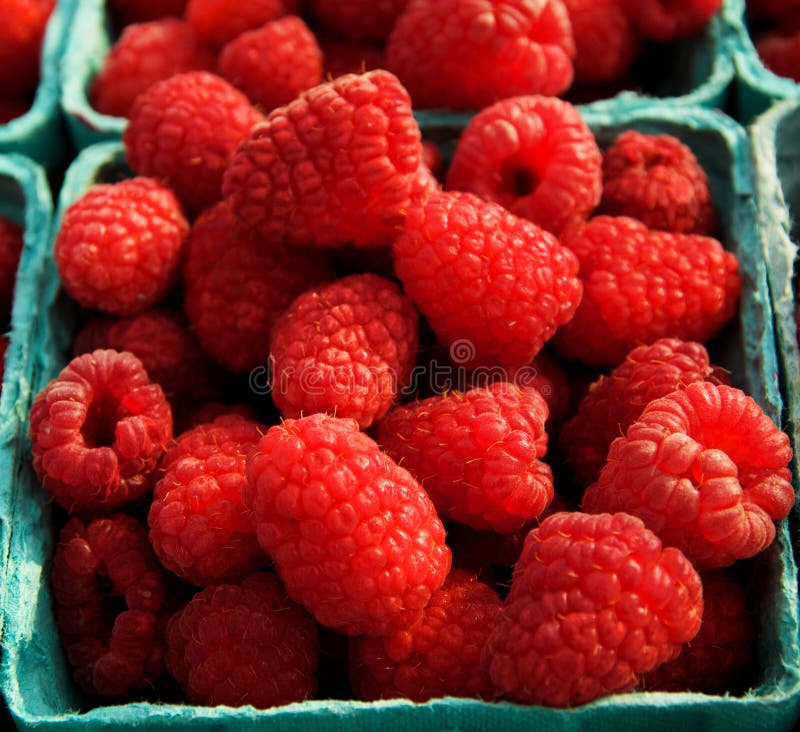 Fresh Red Raspberries stock photo. Image of pattern, freshness - 14899204