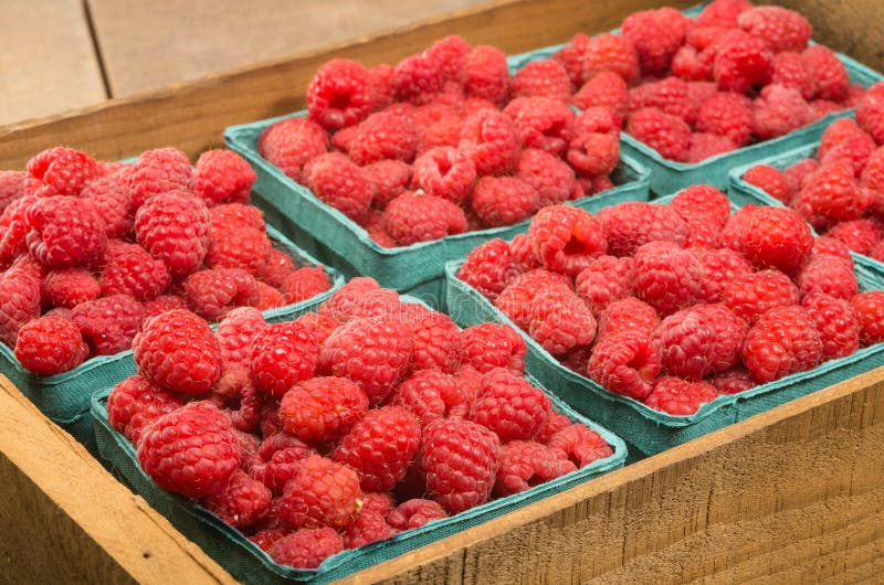 Fresh Red Raspberries on Display at the Market Stock Image - Image of ...