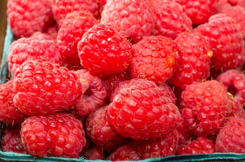 Fresh Red Raspberries on Display at the Market Stock Photo - Image of ...