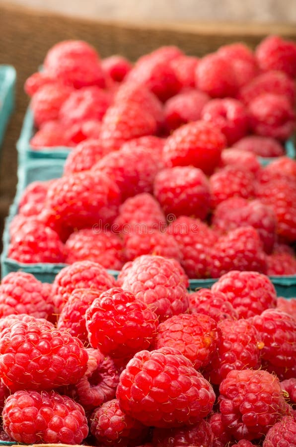 Fresh Red Raspberries on Display at the Market Stock Photo - Image of ...