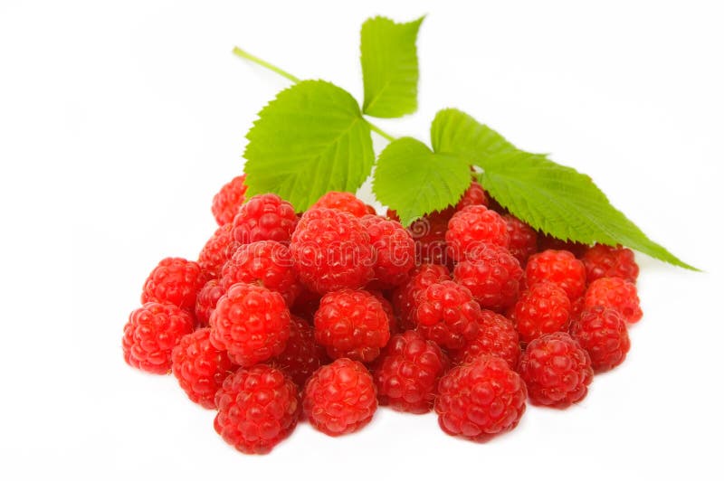 Fresh Red Raspberries with Leaves Stock Image - Image of culinary ...