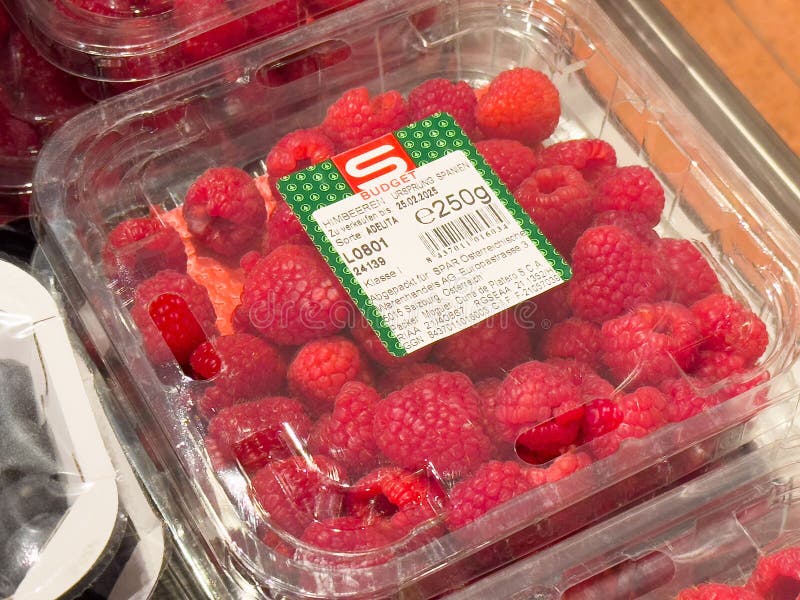 Fresh Red Raspberries in Plastic Container with Green Label in Grocery ...
