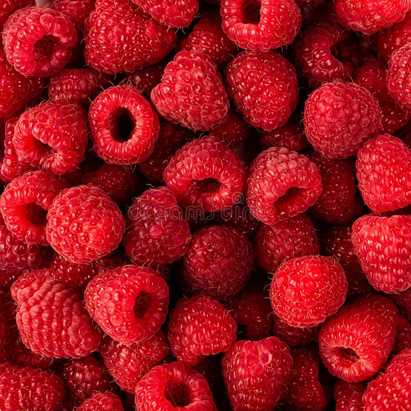 Fresh Red Raspberries Texture Background. Side View Stock Image - Image ...