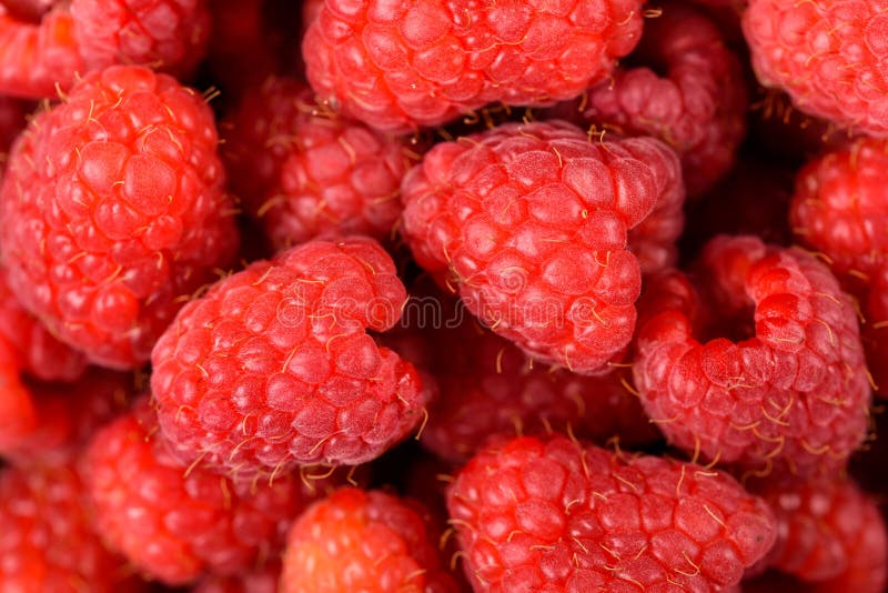 Fresh Red Raspberry Fruits Background Stock Photo - Image of sweet ...