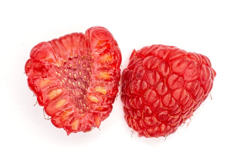 1,248 Half Red Raspberry Stock Photos - Free & Royalty-Free Stock ...
