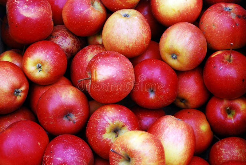 Fresh Red Ripe Apples Background Stock Image - Image of dieting, autumn ...