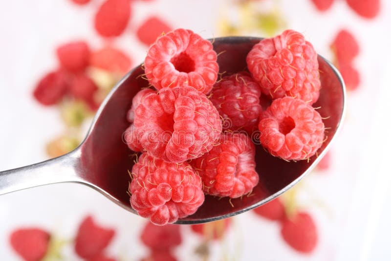 Fresh Red Ripe Raspberry on Spoon. Ingredient. Stock Photo - Image of ...
