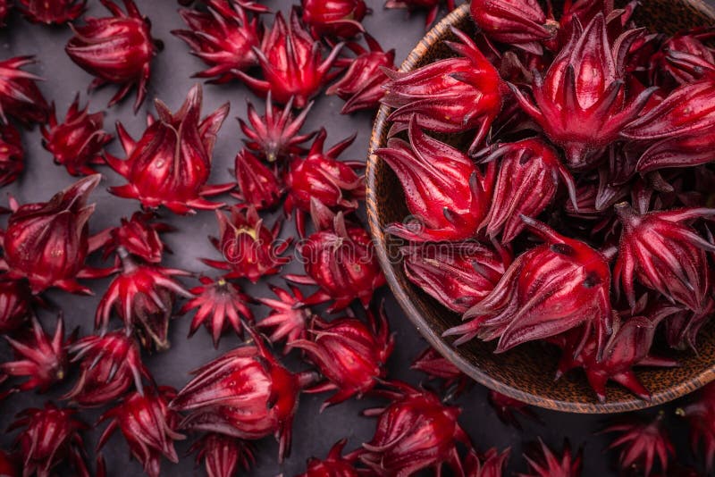 Fresh Red Roselle Use for Herb or Food Concept Stock Photo - Image of ...