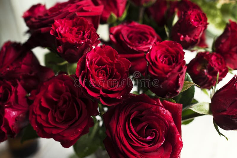 Fresh Red Roses Flowers Arrangement Nature Refreshment Stock Photo ...
