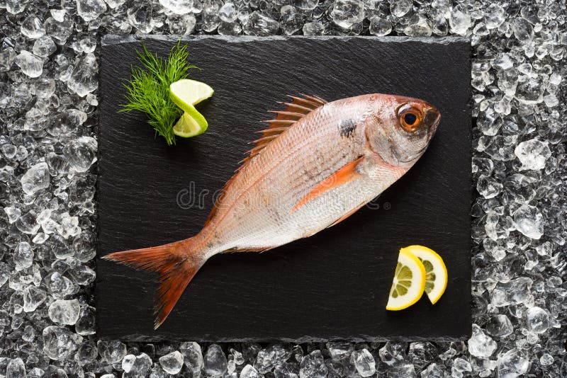 Red Snapper on a plate stock photo. Image of green, meal - 15904710