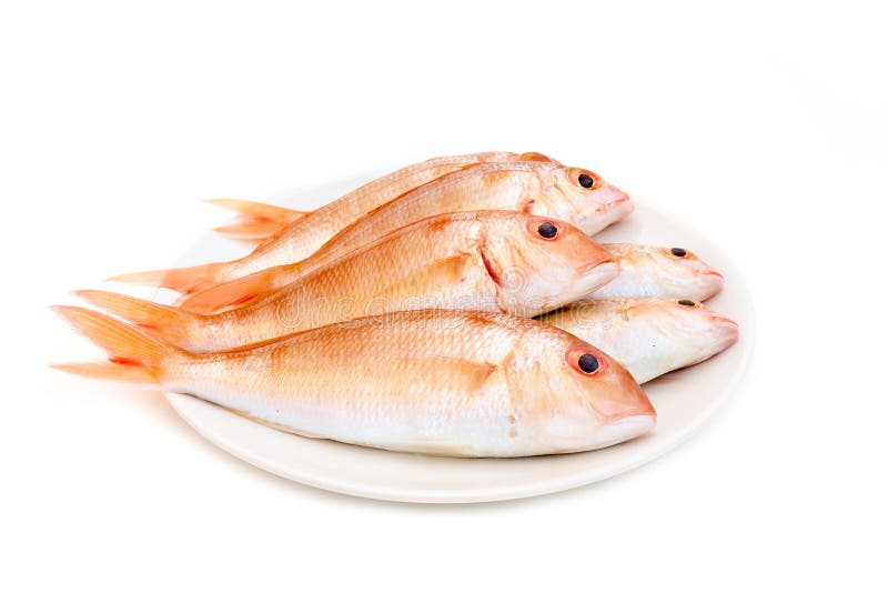 Fresh red snapper stock photo. Image of healthy, fish - 51557228