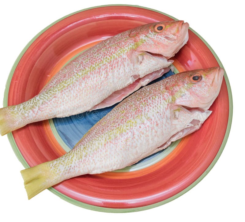 Red Snapper on a plate stock photo. Image of green, meal - 15904710