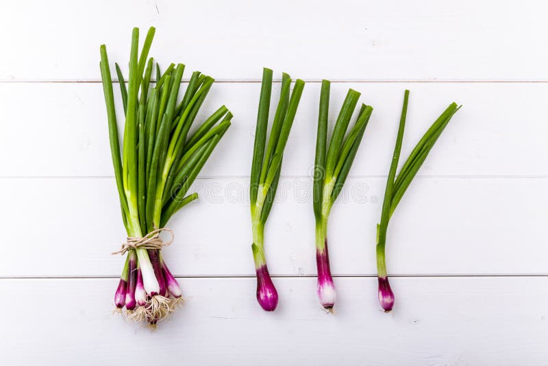Fresh Red Spring Onions Scallions Stock Photo - Image of onions ...