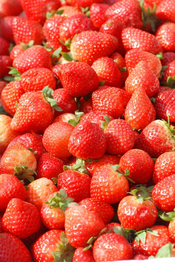 Fresh red strawberries stock image. Image of attractive - 4625015