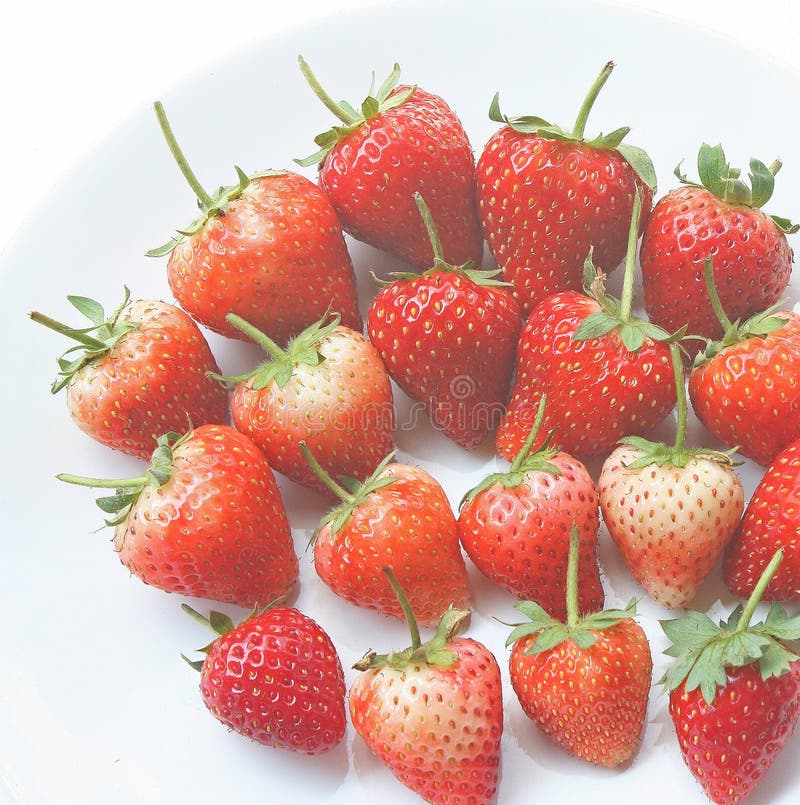 Fresh red strawberry stock image. Image of backdrop - 134473569