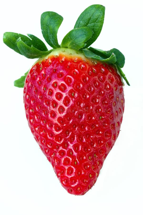 Fresh red strawberry stock photo. Image of freshness - 23197304