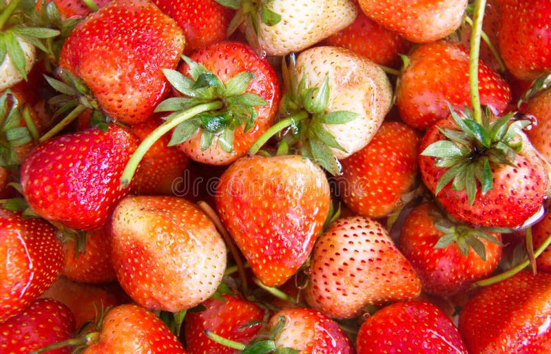 Fresh Red Strawberry Background. Stock Image - Image of vegetarian ...