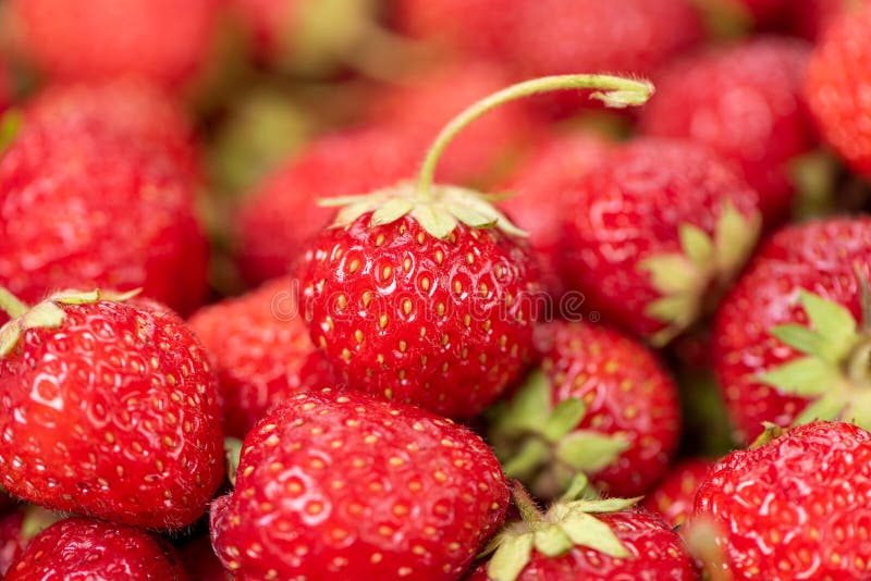 Fresh Red Strawberry Background Texture Stock Photo - Image of detail ...