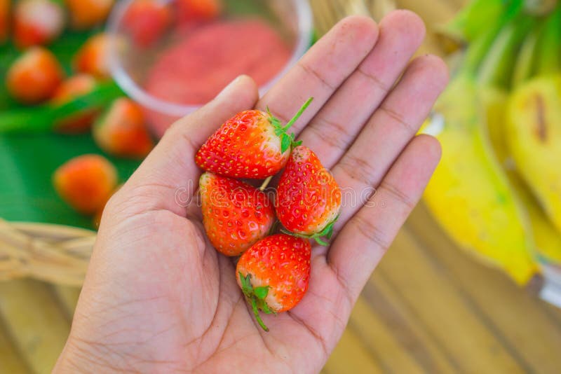 Fresh Red Strawberry in the Human Hand Stock Image - Image of ripe ...