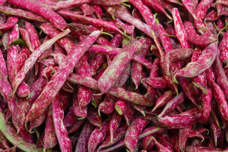 Fresh red string beans stock image. Image of pile, healthy - 150226523