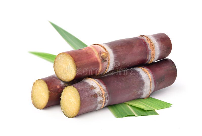 544 Bundle Cane Stock Photos - Free & Royalty-Free Stock Photos from ...