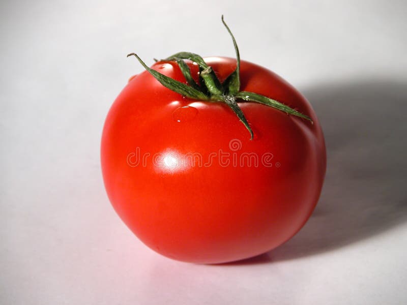 Fresh red tomato stock photo. Image of juicy, restaurant - 2154