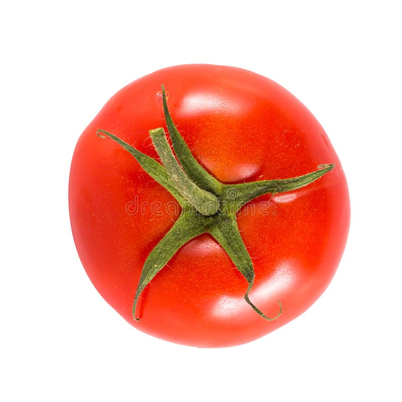 Fresh red tomato stock image. Image of tomato, green - 61797299