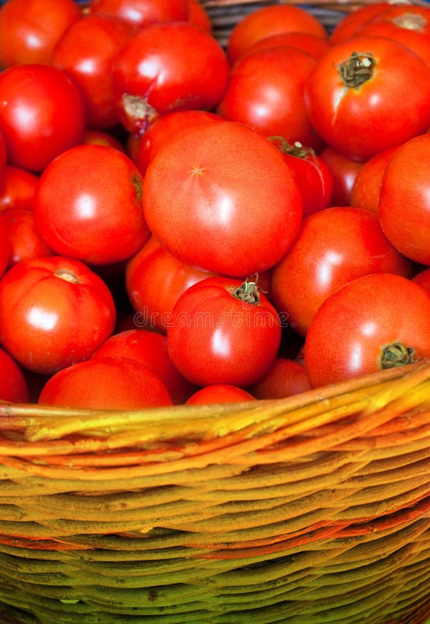 Fresh red tomatoes stock image. Image of isolated, natural - 12986271