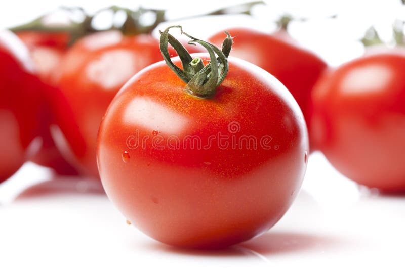 Fresh Picked Vine Ripe Red Tomatoes Stock Photo - Image of vegitable ...