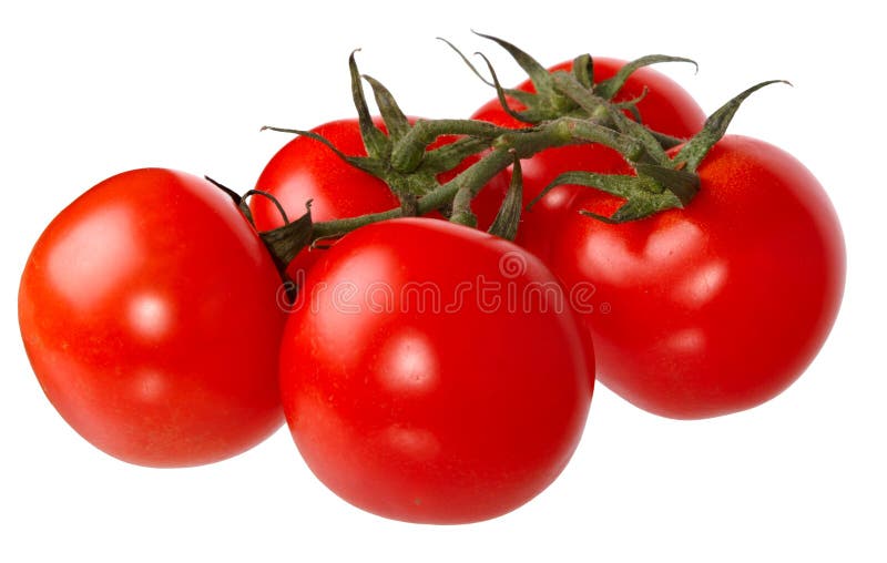 Fresh red tomatoes stock image. Image of isolated, fruits - 24435283