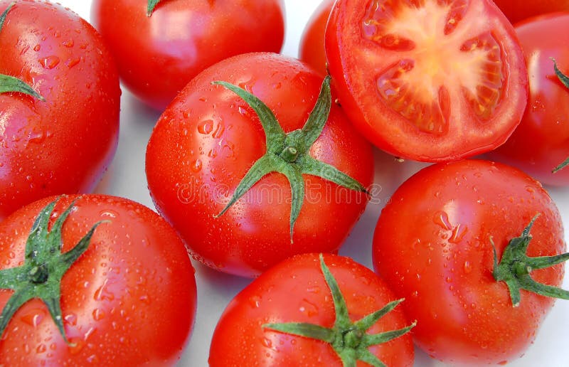 Fresh red tomatoes stock image. Image of bright, stem - 6967637